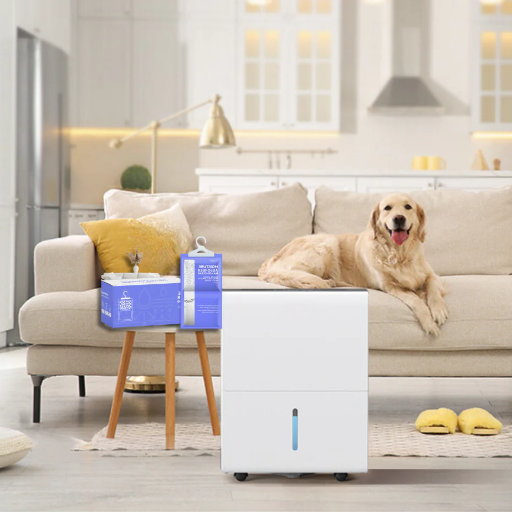 Ultimate Dehumidification Solution: Say Goodbye to High Humidity in ...