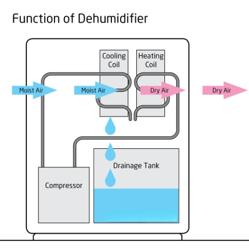 How to Repair a Dehumidifier: Your Complete Guide to Fixing Common ...