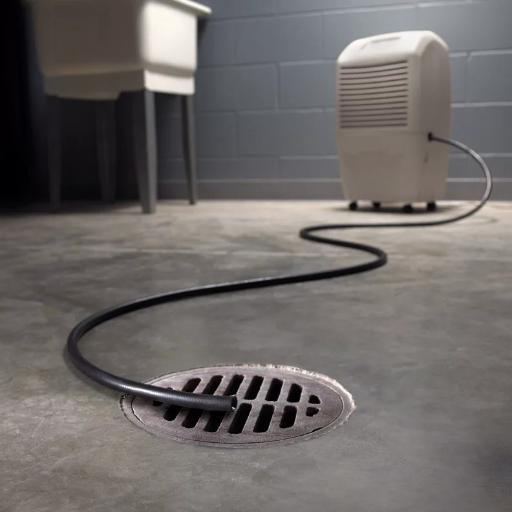 Top 5 Dehumidifiers for Basements - Wisdom Machining
