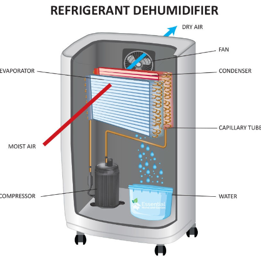 Dehumidifier Is Not Collecting Water