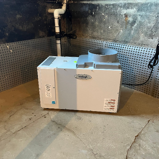 Best Basement Dehumidifiers: Combat Humidity and Mold Effectively ...