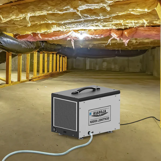 Best Basement Dehumidifiers: Combat Humidity and Mold Effectively ...