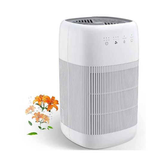 Ultimate Guide to Choosing the Perfect Dehumidification System for Your ...