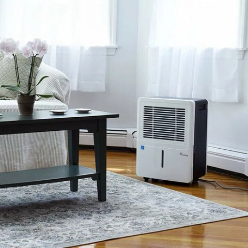 Humidifier vs Dehumidifier: Understanding the Key Differences - Wisdom ...