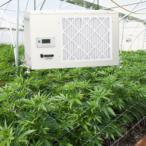 Effective Greenhouse Humidity Control: A Comprehensive Guide to ...