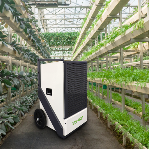 Effective Greenhouse Humidity Control: A Comprehensive Guide to ...