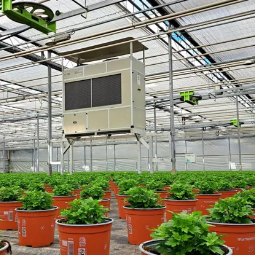 Effective Greenhouse Humidity Control: A Comprehensive Guide to ...
