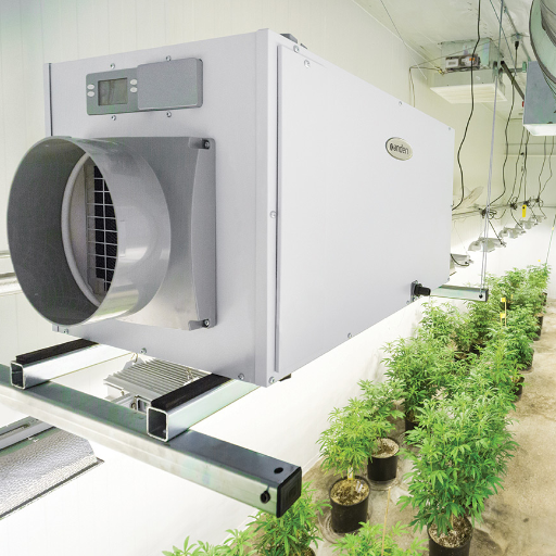The Ultimate Guide to Choosing the Best Grow Room Dehumidifier - Wisdom ...