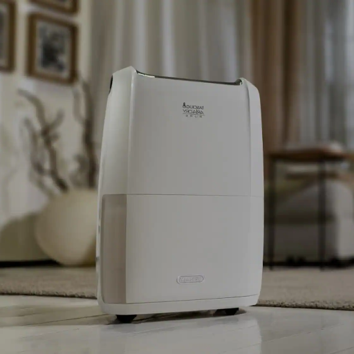 Ultimate Guide to Home Dehumidification Systems: Boost Your Indoor Air ...