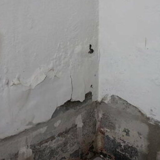 Effective Ways to Dehumidify Your Home and Handle Humidity in the House ...