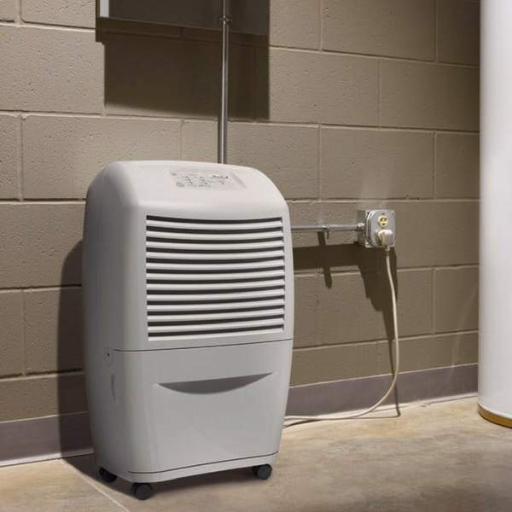 How to Effectively Control Mold with a Dehumidifier: Tips and Tricks ...