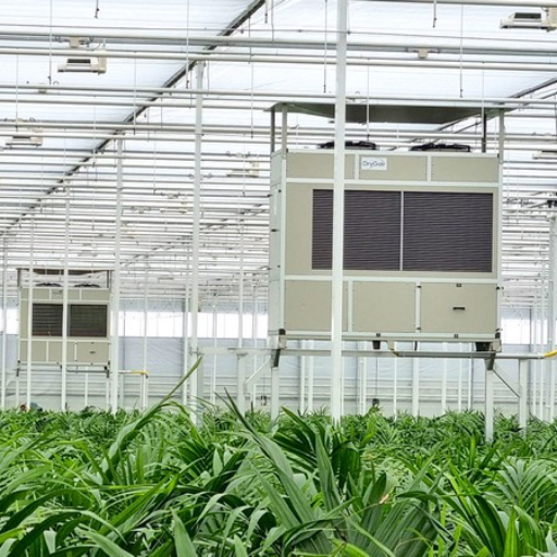 Effective Ways to Reduce Humidity in a Greenhouse: Natural ...