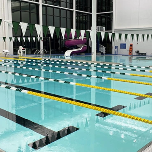 The Ultimate Guide to Pool Dehumidification: Ensuring Comfort and ...